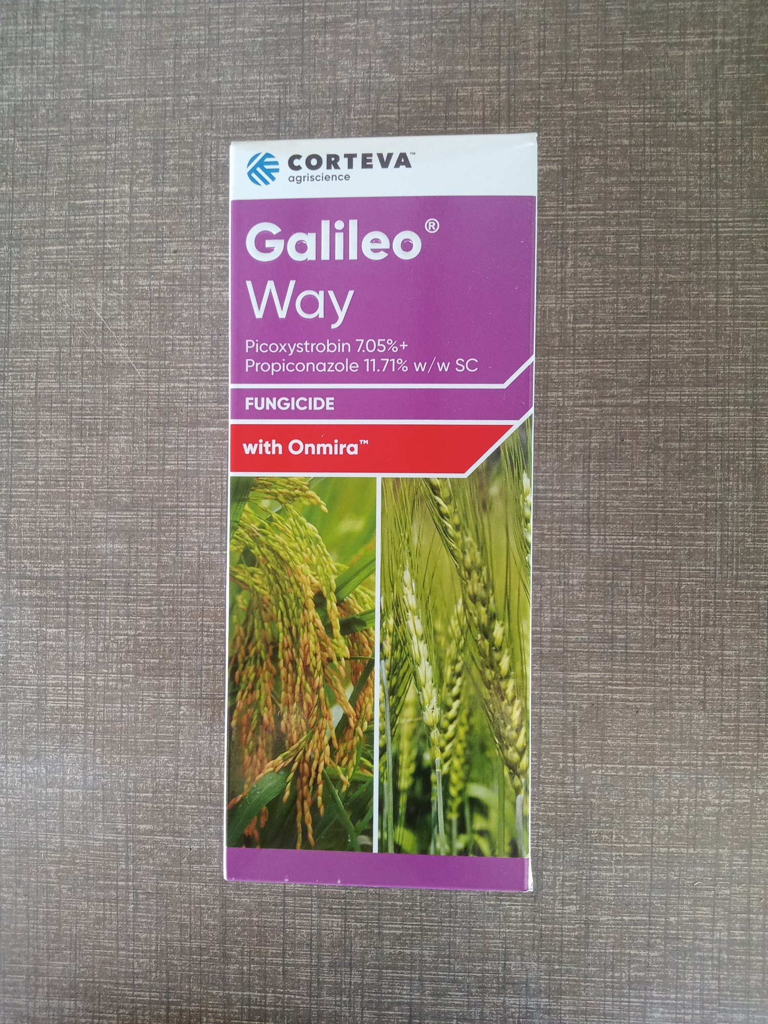 Raghav Seeds & Pesticide Store